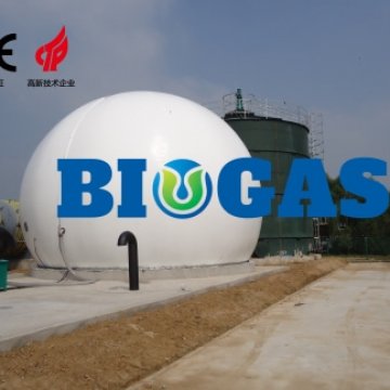 biogas plant|Biogas Problem Solver|Biogas utilization
